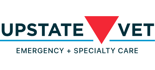 Veterinarian in Greenville, SC | Upstate Vet Emergency & Specialty Care ... Veterinarian in Greenville, SC | Upstate Vet Emergency & Specialty Care ...